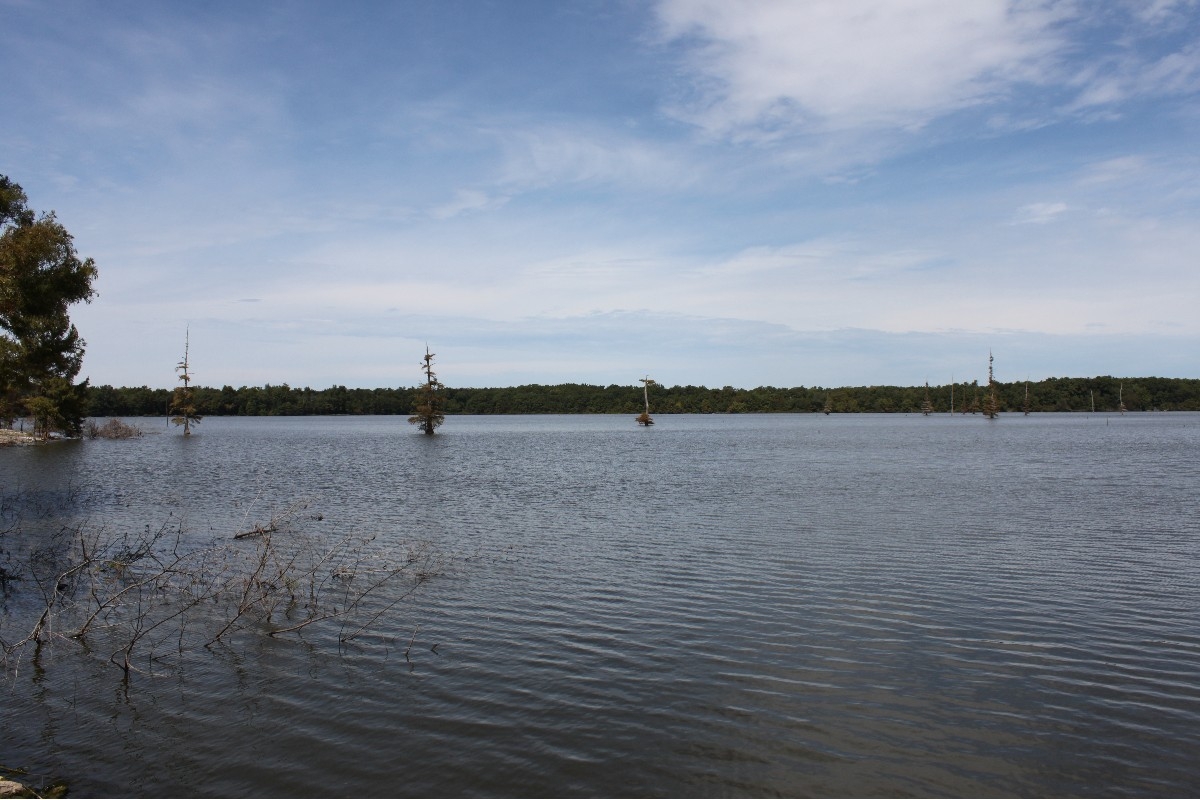 Bayou De View State Wildlife Management Area, an Arkansas State ...